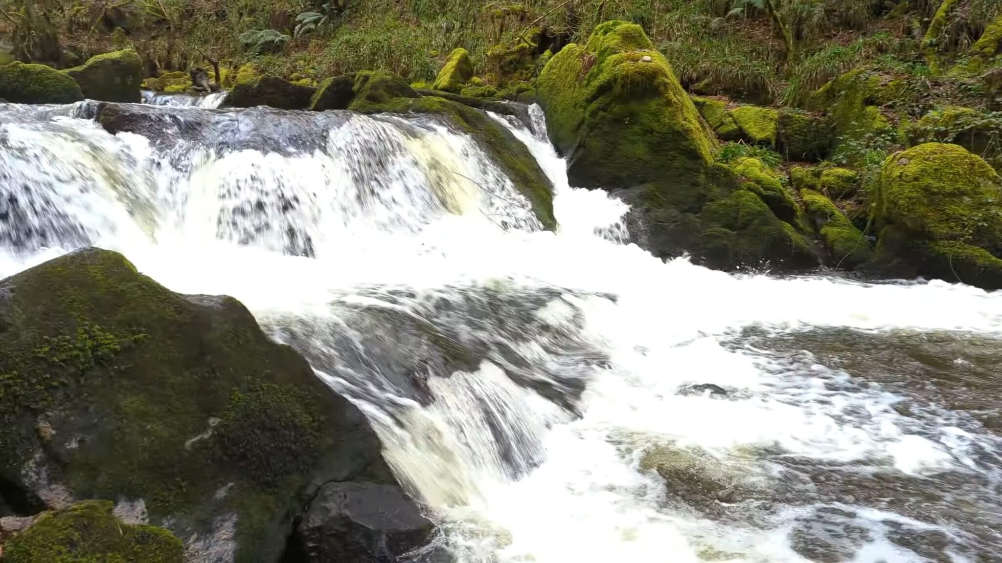 Top 4 Hidden Waterfalls of Cornwall To Visit - A Short Walk