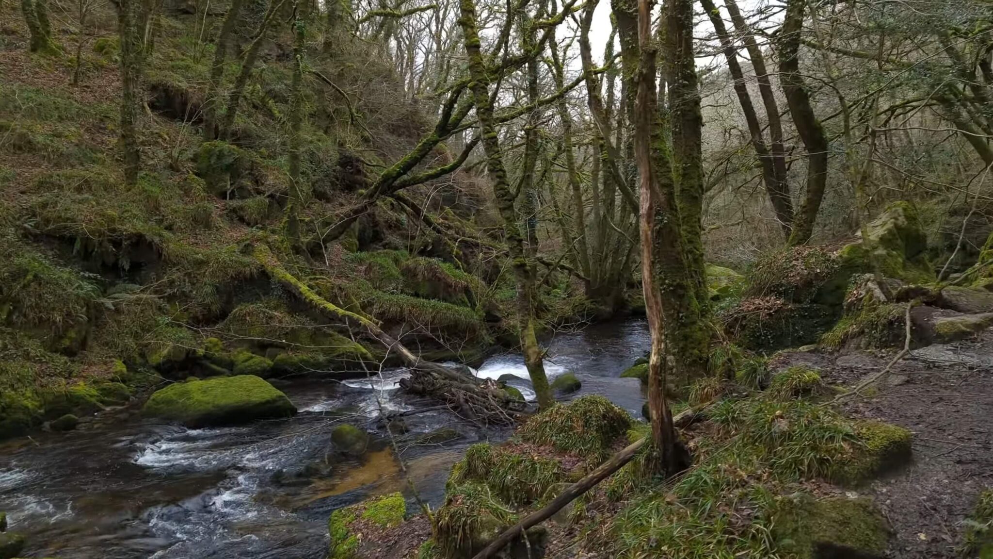 Top 4 Hidden Waterfalls of Cornwall To Visit - A Short Walk