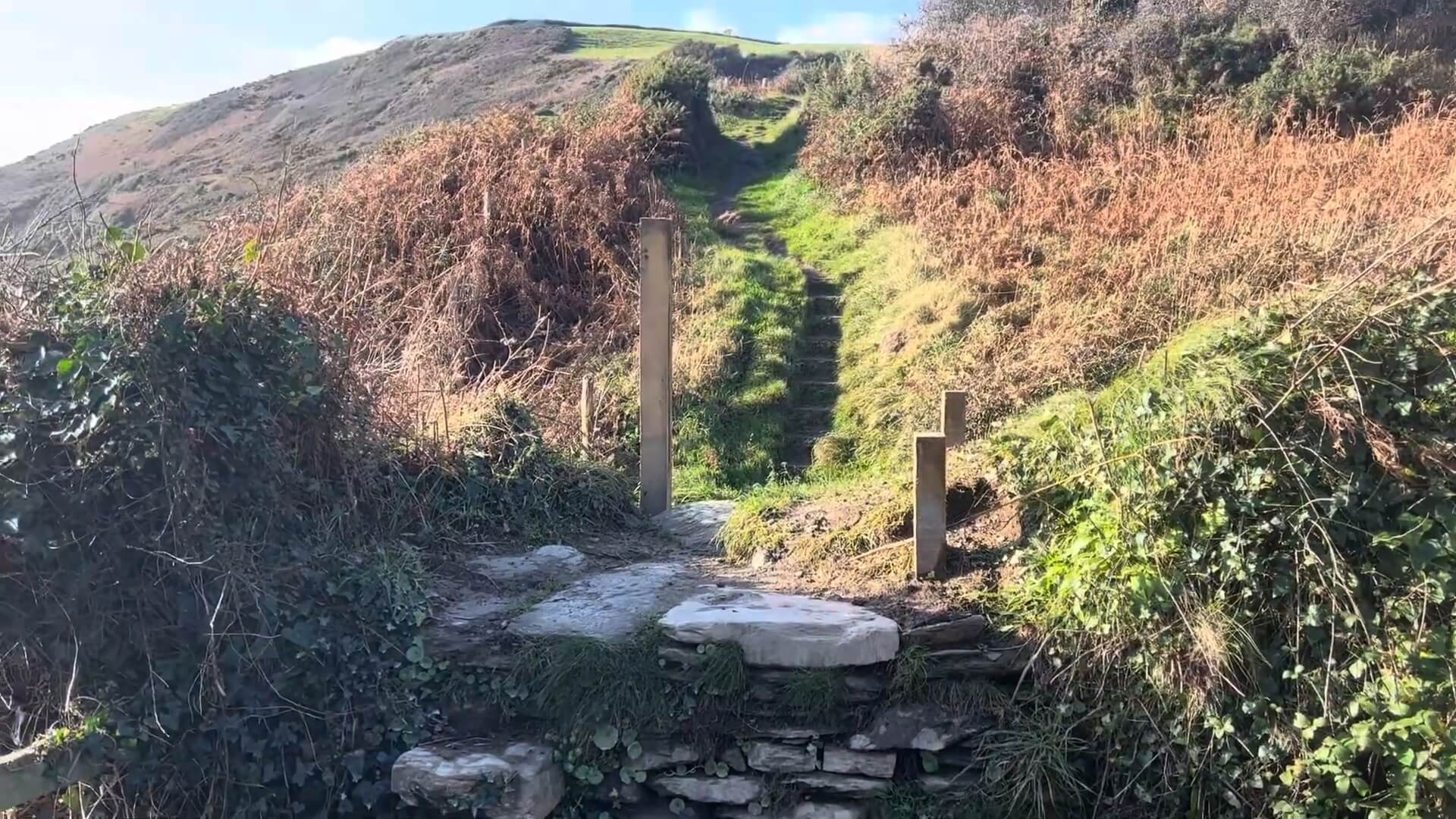 Top 4 Hidden Waterfalls of Cornwall To Visit - A Short Walk
