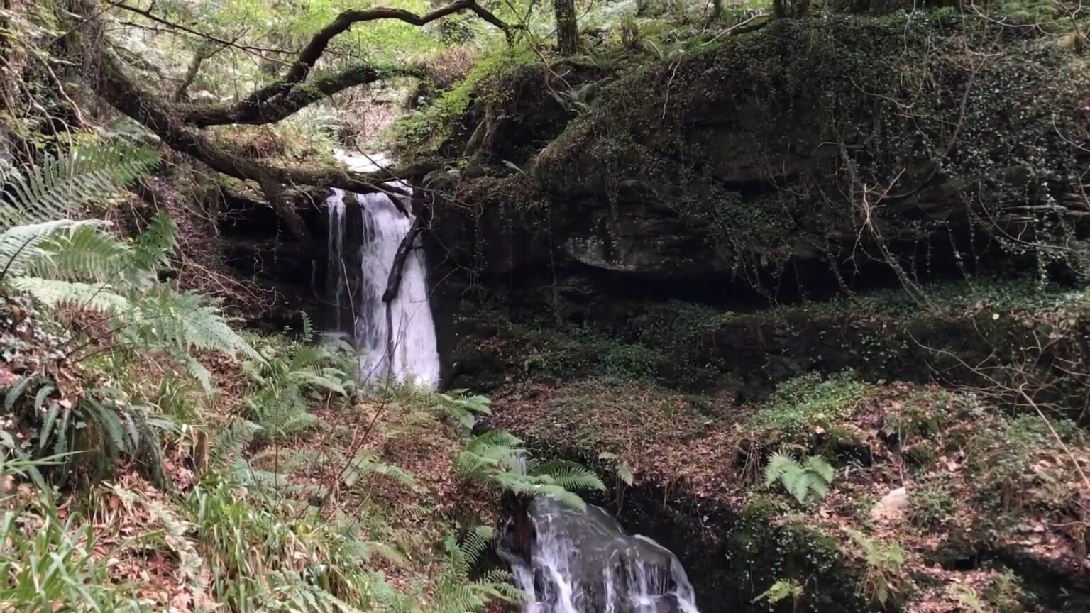 Top 4 Hidden Waterfalls of Cornwall To Visit - A Short Walk