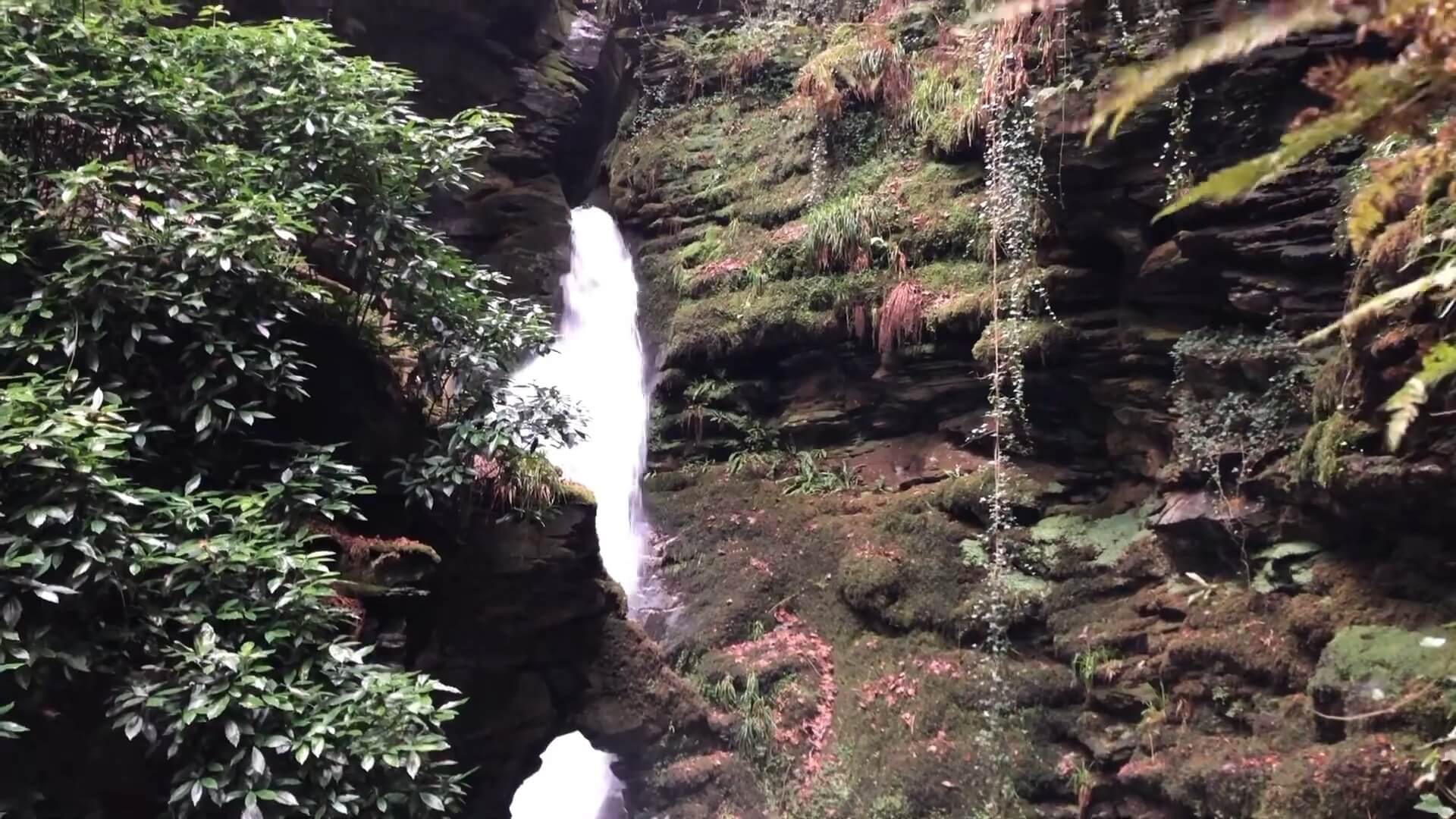 Top 4 Hidden Waterfalls of Cornwall To Visit - A Short Walk
