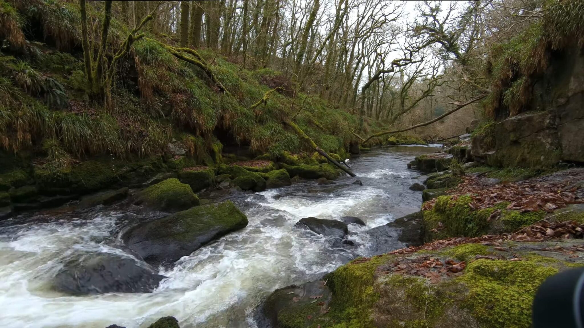 Top 4 Hidden Waterfalls of Cornwall To Visit - A Short Walk